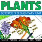 Plants Activities with Plant Lifecycle Parts of a Plant Science Plant ...