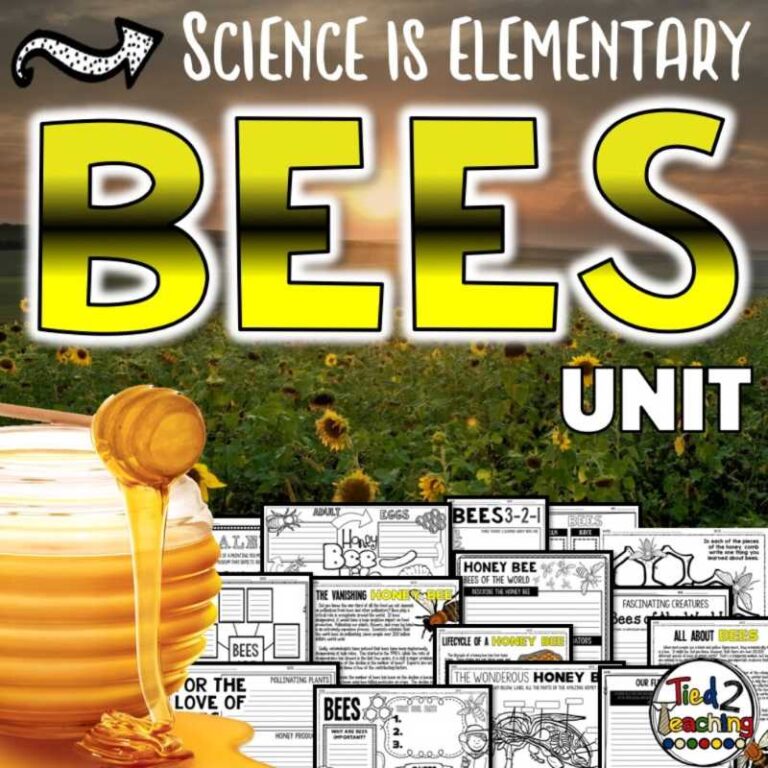 Bees Activities Unit with Honey Bee Lifecycle of a Bee Beekeepers and ...
