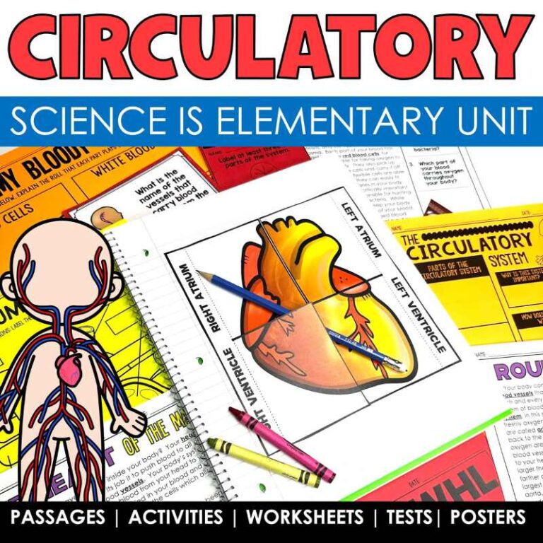 Circulatory System Human Body Systems Worksheets Passages and Graphic ...