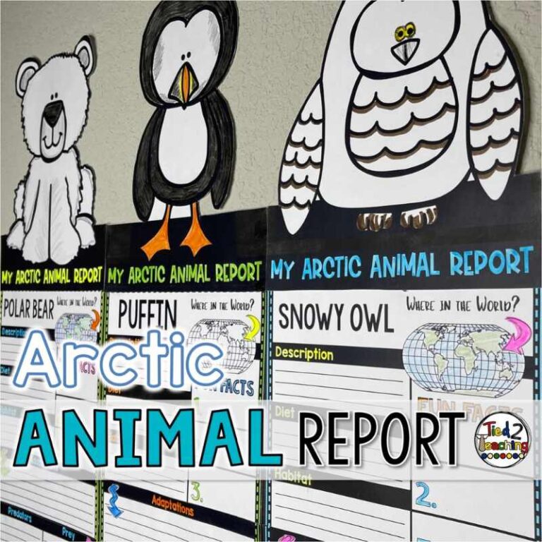 January Winter Arctic Animals Report Animal Craft Research Project ...