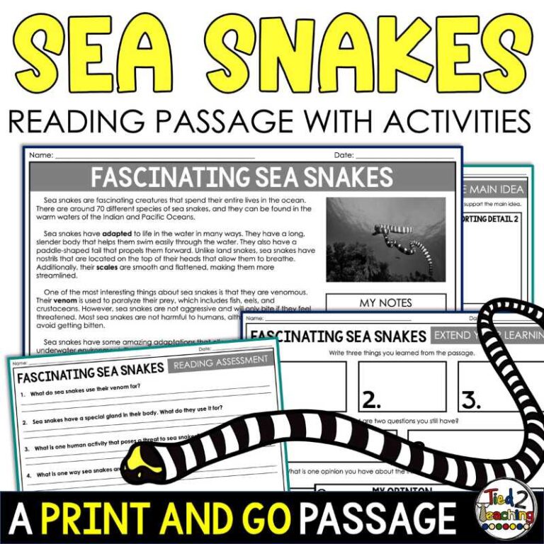Sea Snakes Ocean Animal Research Marine Animals Science Reading Passage ...