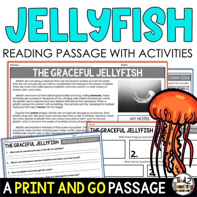Jellyfish Ocean Animal Reading Passage Marine Animal Science Research ...