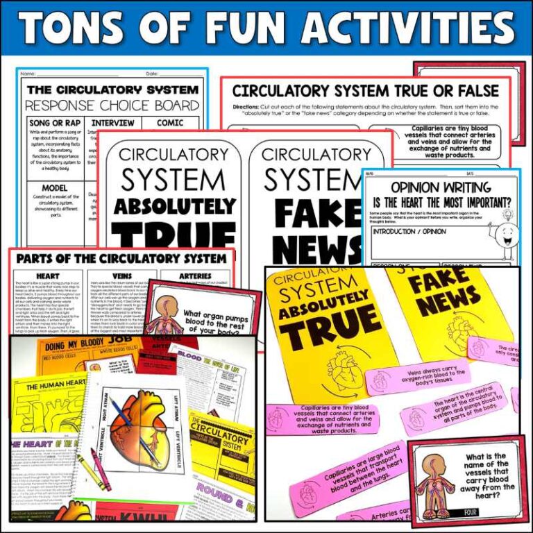 Circulatory System Human Body Systems Worksheets Passages and Graphic ...