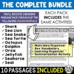 Ocean Animal Reading Passages Marine Animals Science Research Report ...