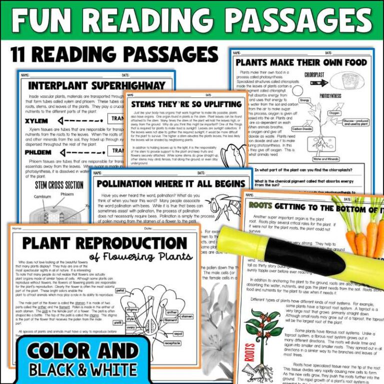Plants Activities with Plant Lifecycle Parts of a Plant Science Plant ...
