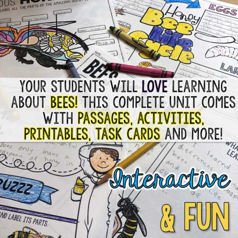 Bees Activities Unit with Honey Bee Lifecycle of a Bee Beekeepers and ...