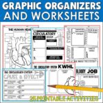 Circulatory System Human Body Systems Worksheets Passages and Graphic ...