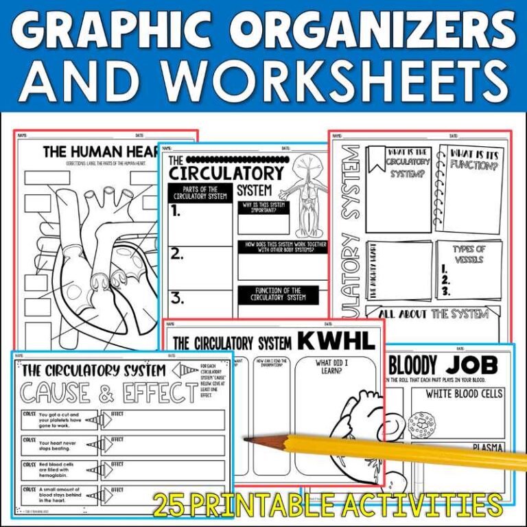 Circulatory System Human Body Systems Worksheets Passages and Graphic ...
