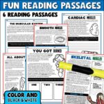 Muscular System Human Body Systems Worksheets Passages and Graphic ...