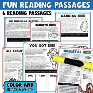 Muscular System Human Body Systems Worksheets Passages and Graphic ...