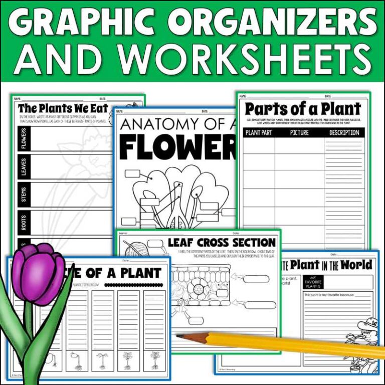 Plants Activities with Plant Lifecycle Parts of a Plant Science Plant ...