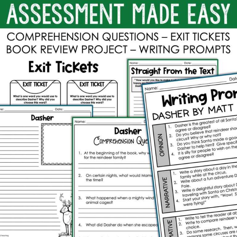 Dasher Book Companion with Book Review Pennant - Tied 2 Teaching