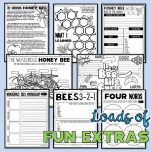 Bees Activities Unit with Honey Bee Lifecycle of a Bee Beekeepers and ...