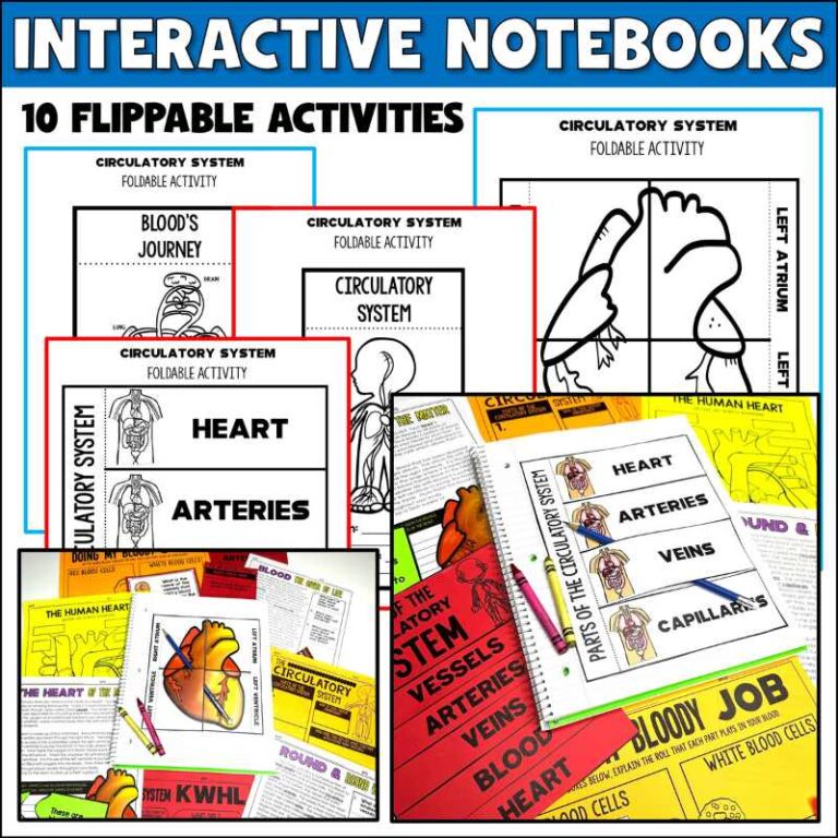 Circulatory System Human Body Systems Worksheets Passages and Graphic ...