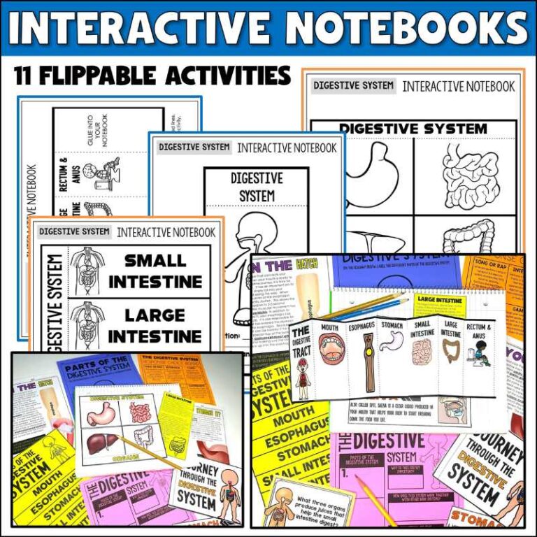 Digestive System Human Body Systems Project Worksheets Human Body ...