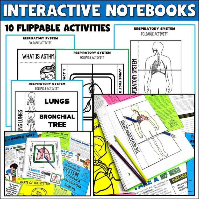 Respiratory System Human Body Systems Worksheets Passages and Graphic ...