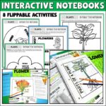 Plants Activities with Plant Lifecycle Parts of a Plant Science Plant ...