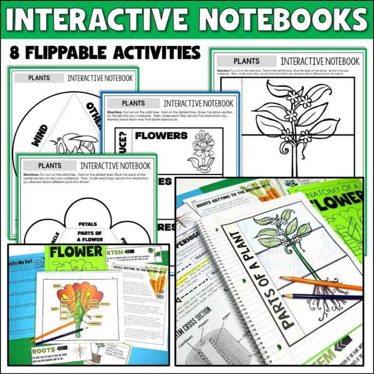 Plants Activities with Plant Lifecycle Parts of a Plant Science Plant ...
