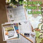 Bees Activities Unit with Honey Bee Lifecycle of a Bee Beekeepers and ...