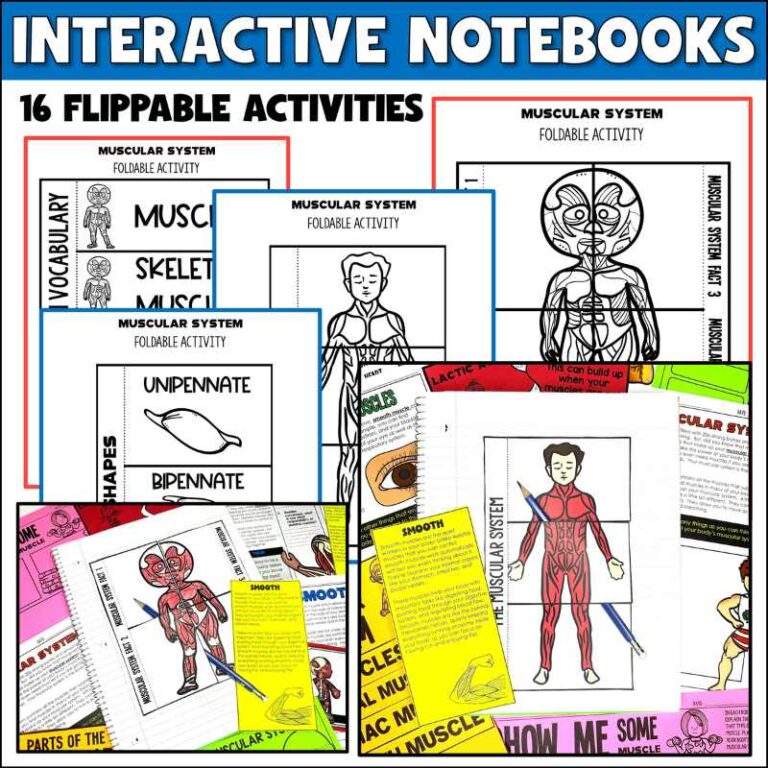 Muscular System Human Body Systems Worksheets Passages and Graphic ...