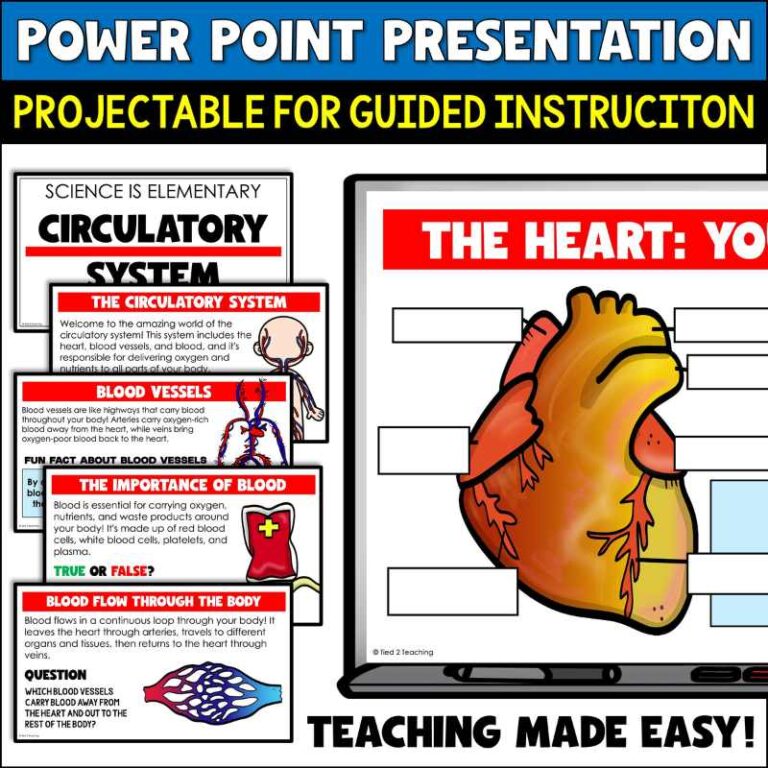 Circulatory System Human Body Systems Worksheets Passages and Graphic ...