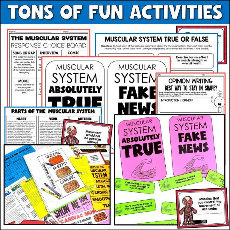 Muscular System Human Body Systems Worksheets Passages and Graphic ...