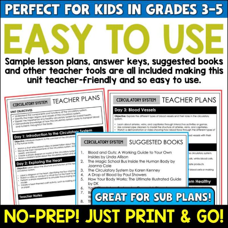 Circulatory System Human Body Systems Worksheets Passages and Graphic ...