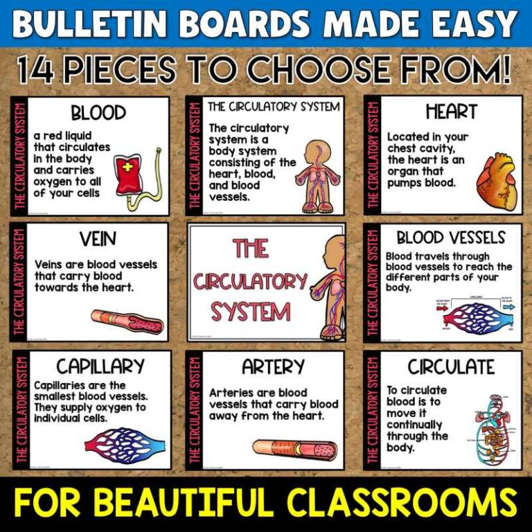 Circulatory System Human Body Systems Worksheets Passages and Graphic ...
