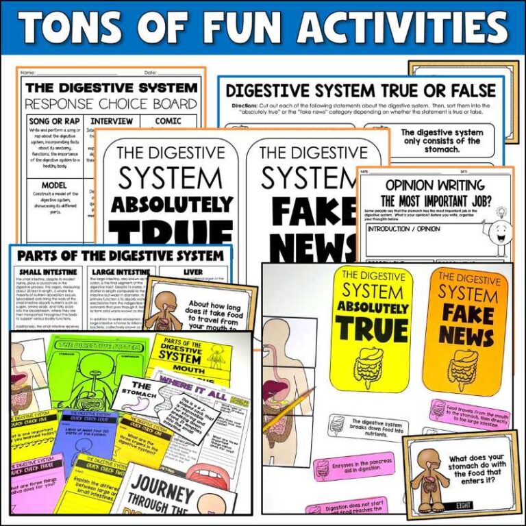 Digestive System Human Body Systems Project Worksheets Human Body ...