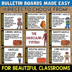 Muscular System Human Body Systems Worksheets Passages and Graphic ...