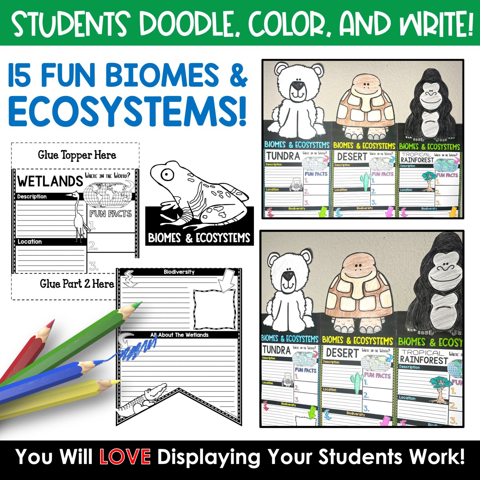 Biomes and Ecosystems Posters Research Project Report Writing Templates ...