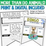 Animal Report Research Project Template Informational Writing Bulletin ...