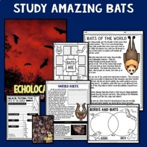 Bat Unit All About Bats Halloween Bats Reading Comprehension Writing ...