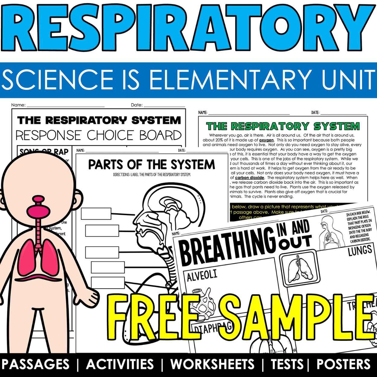Fun Respiratory System Classroom Activities