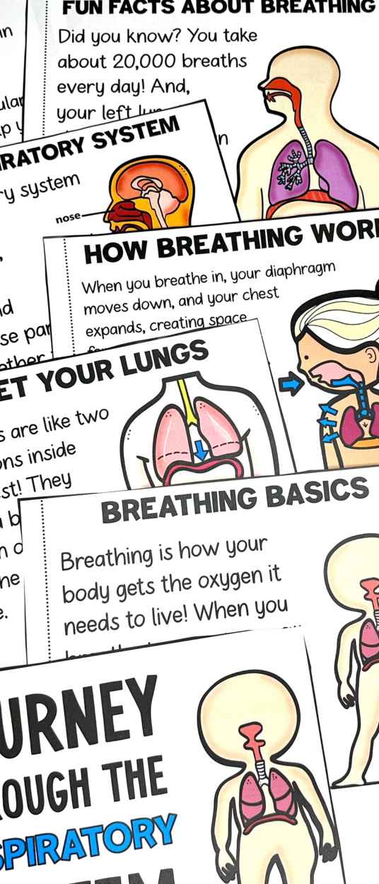 Fun Respiratory System Classroom Activities